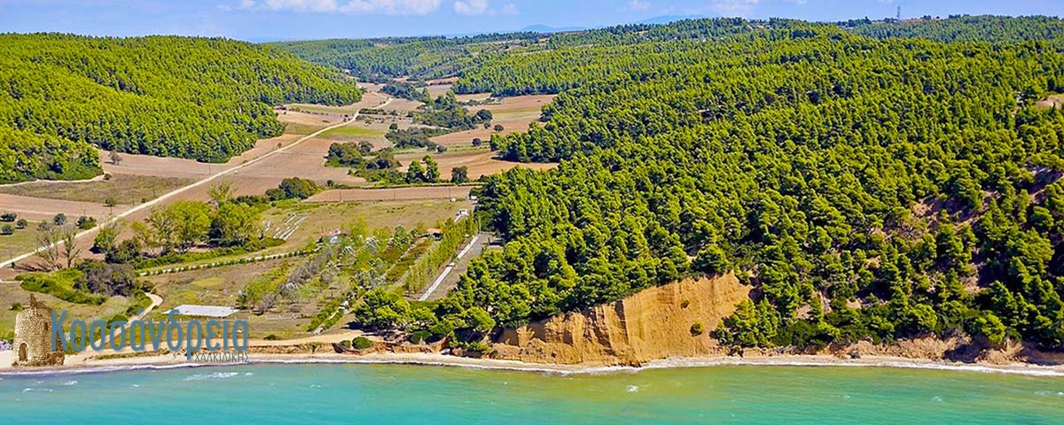 Κασσάνδρεια Κασσάνδρα Χαλκιδική Kassandria Halkidiki